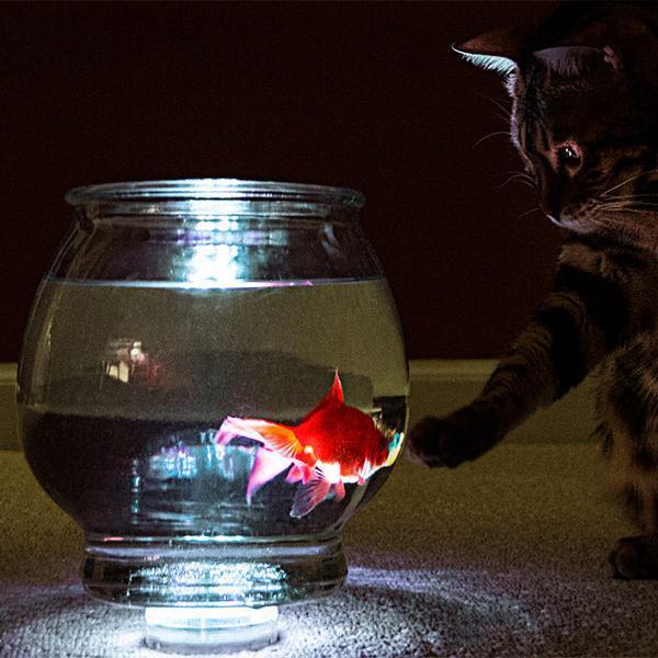 sublimation printable color chart rgb - Inspire Uplift