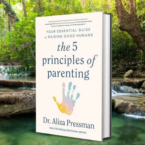 The 5 Principles of Parenting: Your Essential Guide to Raisi | Inspire ...