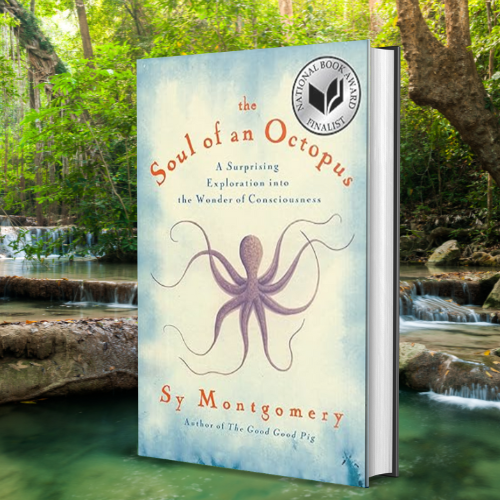 The Soul of an Octopus: A Surprising Exploration into the Wo - Inspire ...