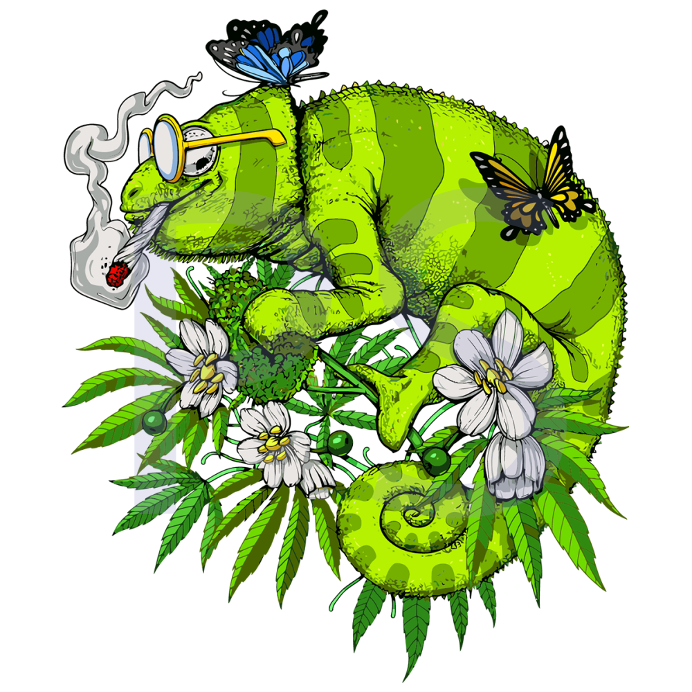 Chameleon Smoking Weed, Trending Svg, Weed Hippie, Weed Svg, | Inspire ...