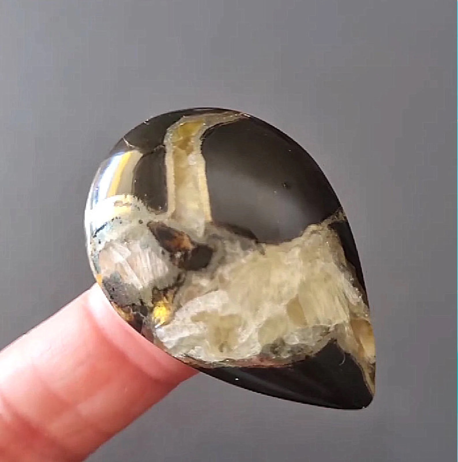 Rare high quality Simbircite-ammonite with silver pyrite nat | Inspire ...