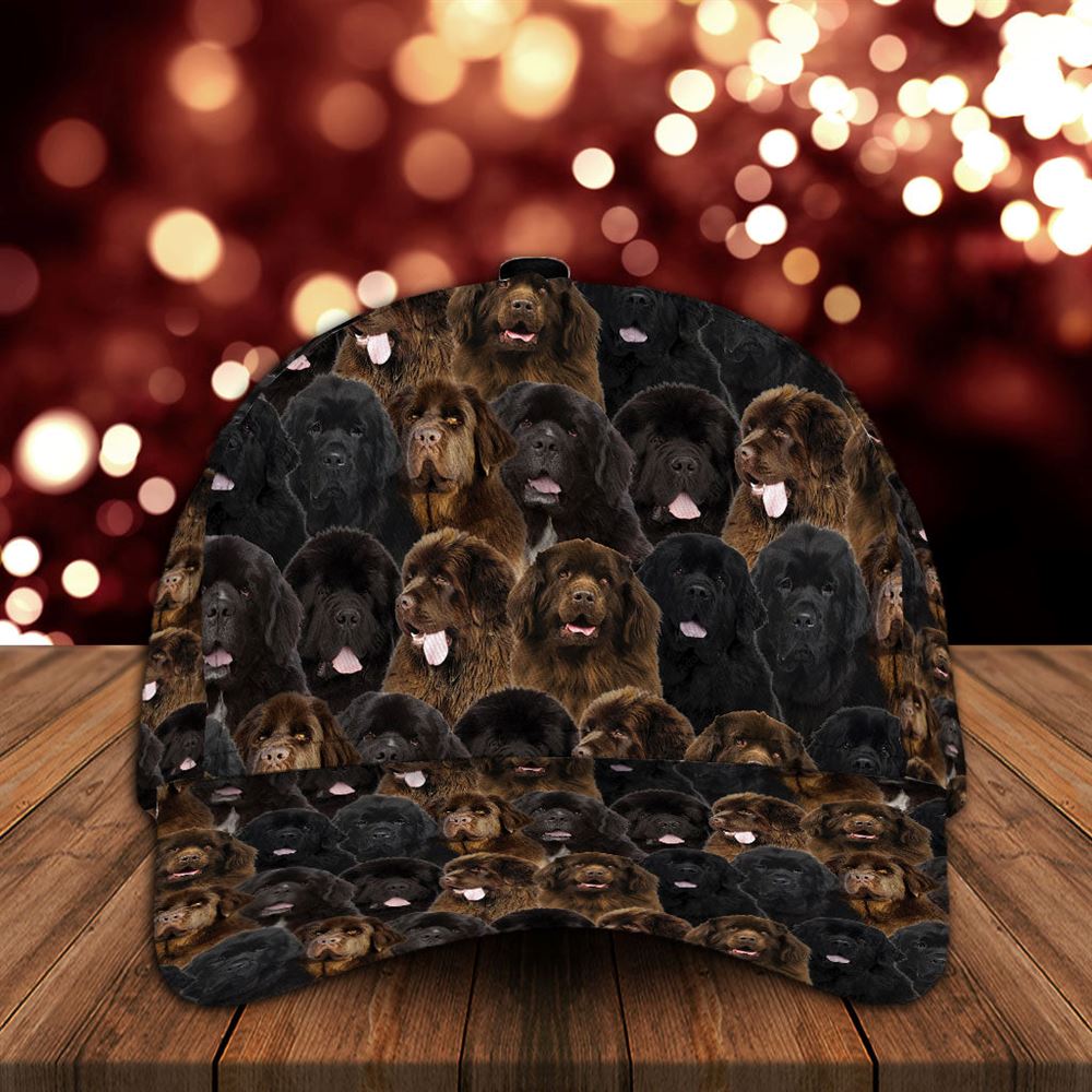 Newfoundland Cap, Hats For Walking With Pets, Classic Baseba | Inspire ...