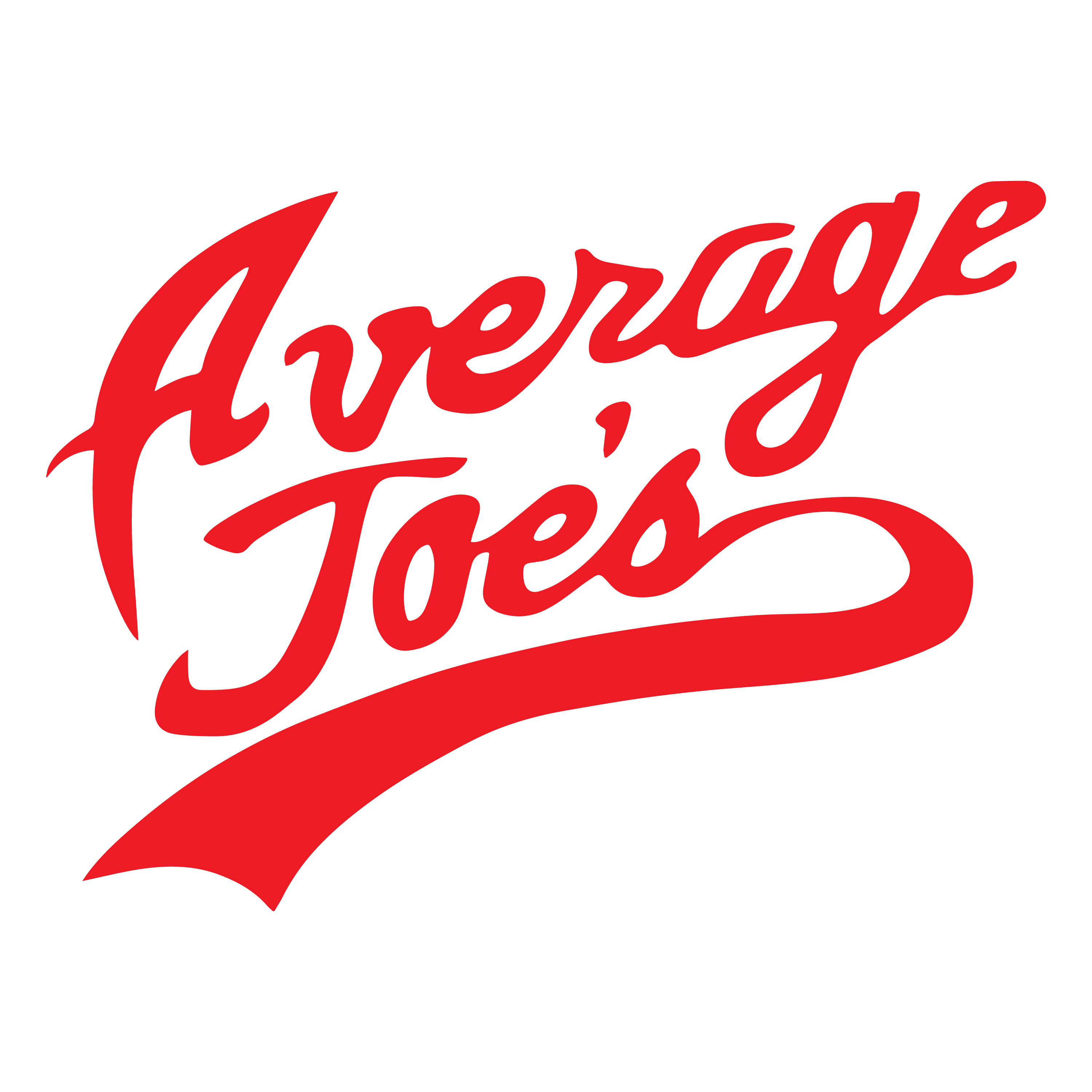 Average Joe's Logo Dodgeball | Inspire Uplift