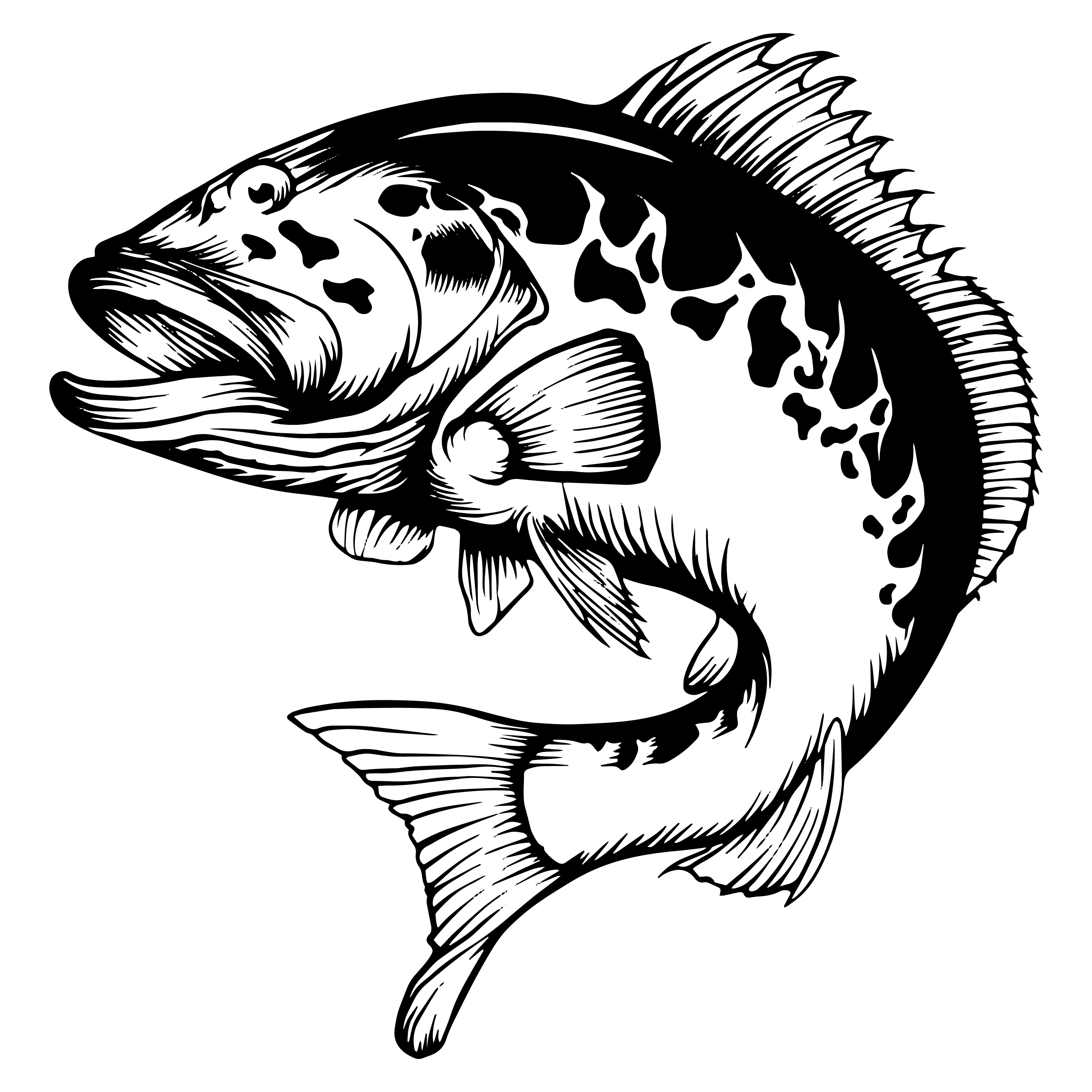 Grouper Fishing Svg, Fishing Svg, Grouper Fish Svg, Grouper | Inspire ...