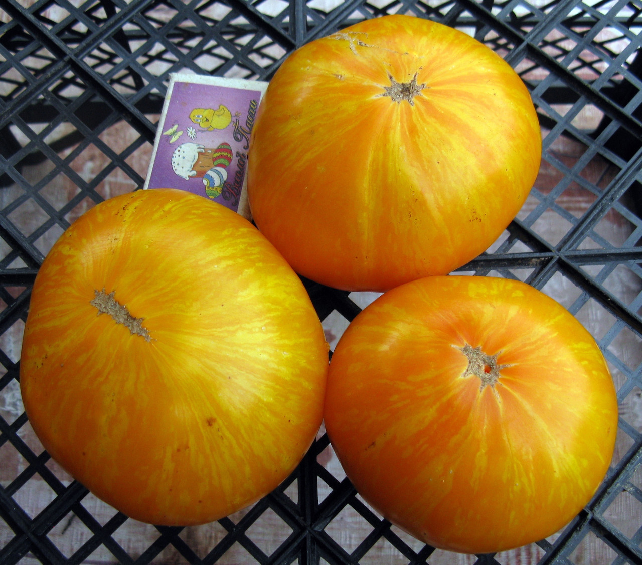 Tomato seeds, 200 seeds Tomato Yellow Zebra, Ukrainian organ | Inspire ...