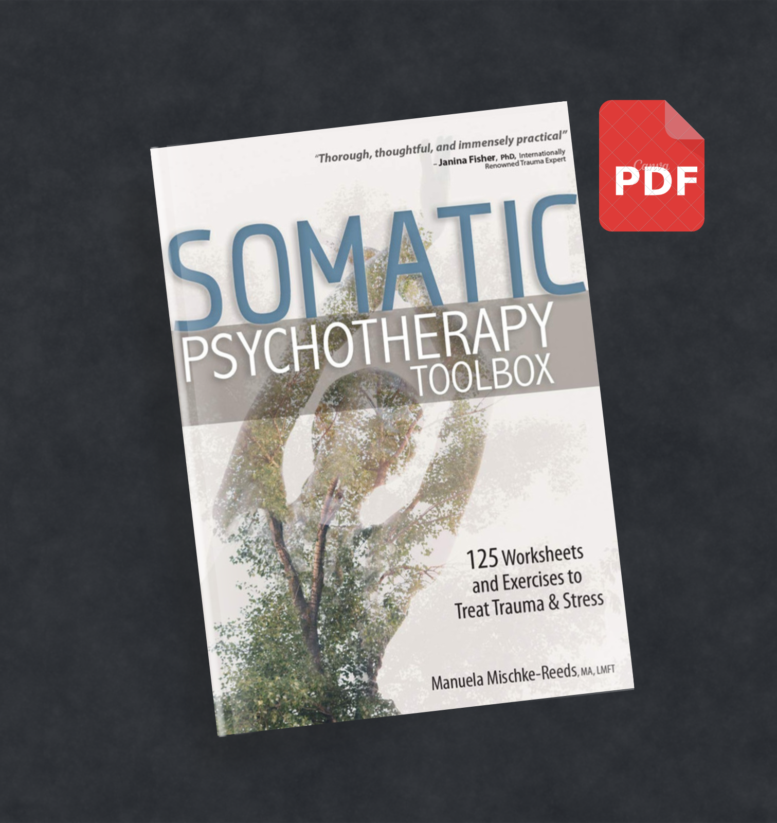 Somatic psychotherapy toolbox : 125 worksheets and exercises | Inspire Uplift