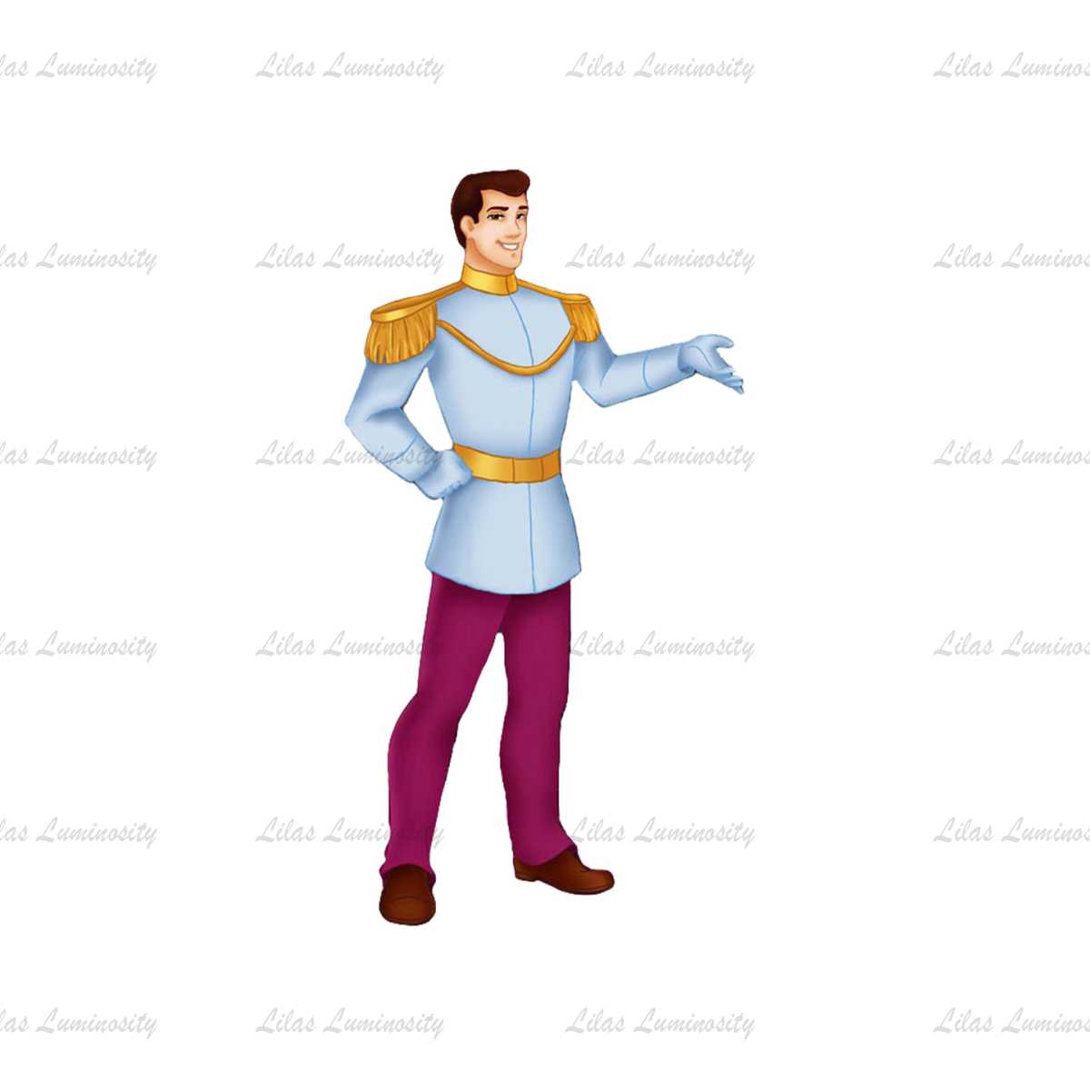 Prince Charming Henry Disney Cartoon Character PNG | Inspire Uplift