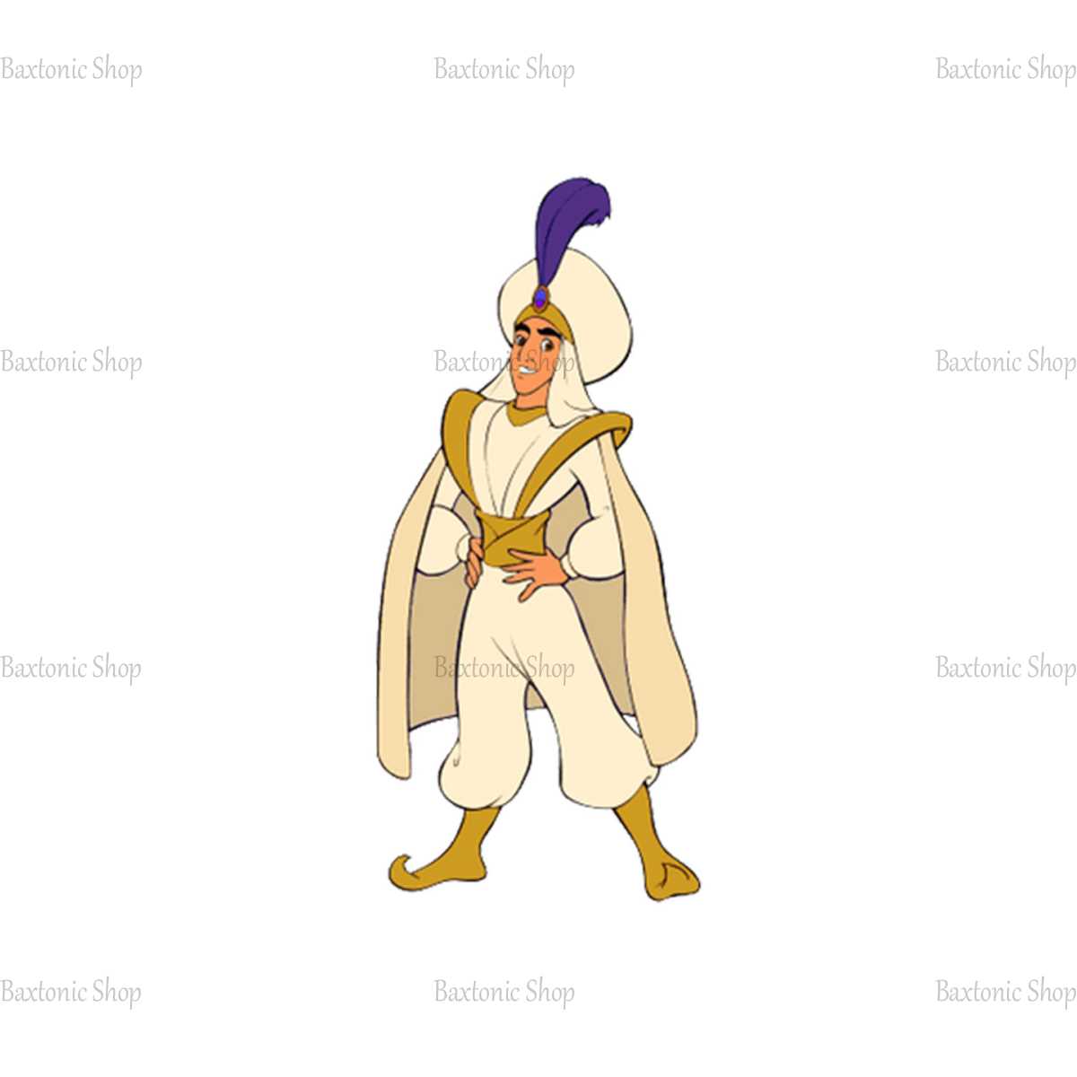 The Sultan Prince Ali Aladdin Disney Cartoon PNG | Inspire Uplift