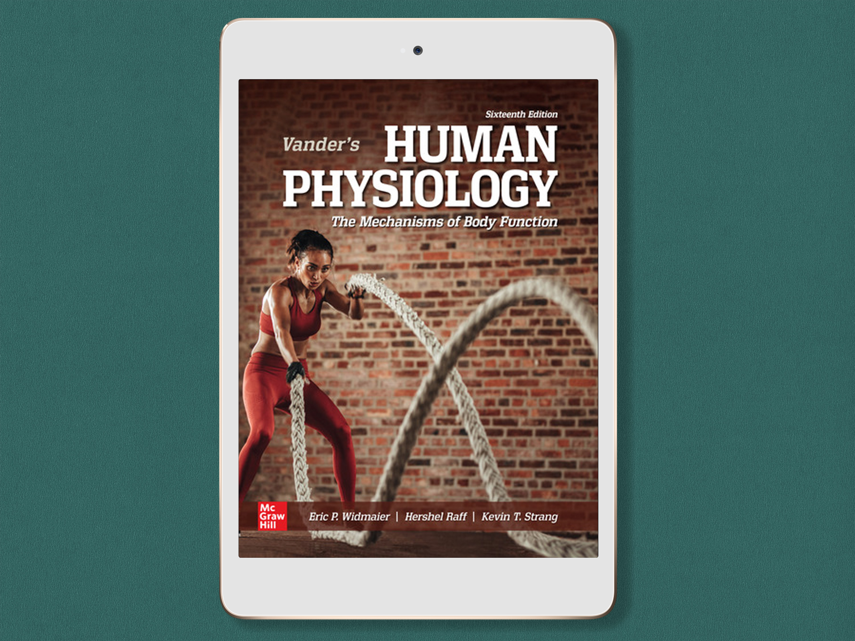 Loose Leaf Vander's Human Physiology 16th Edition - PDF | Inspire Uplift