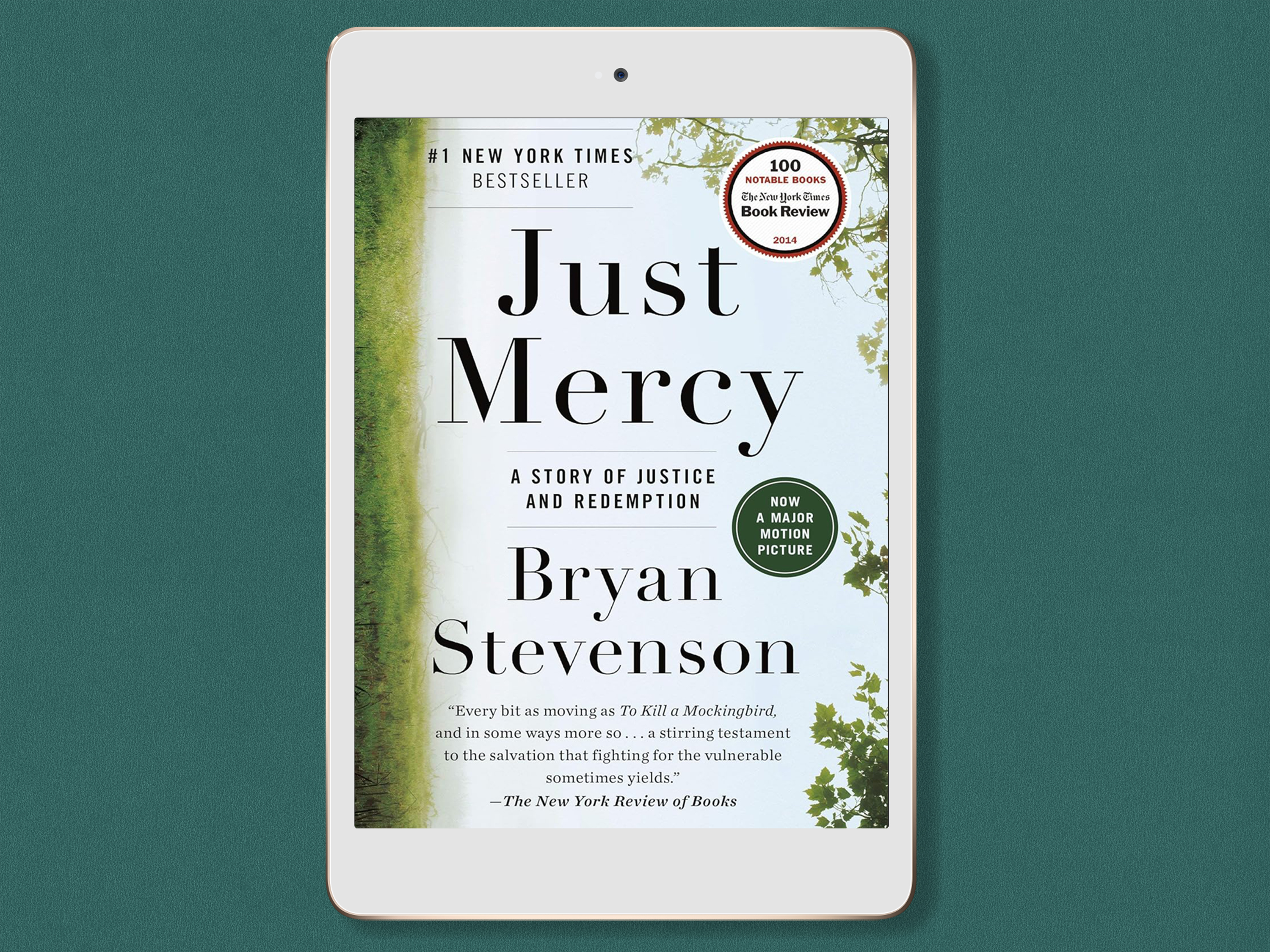 Just Mercy: A Story of Justice and Redemption, by Bryan Stev | Inspire ...