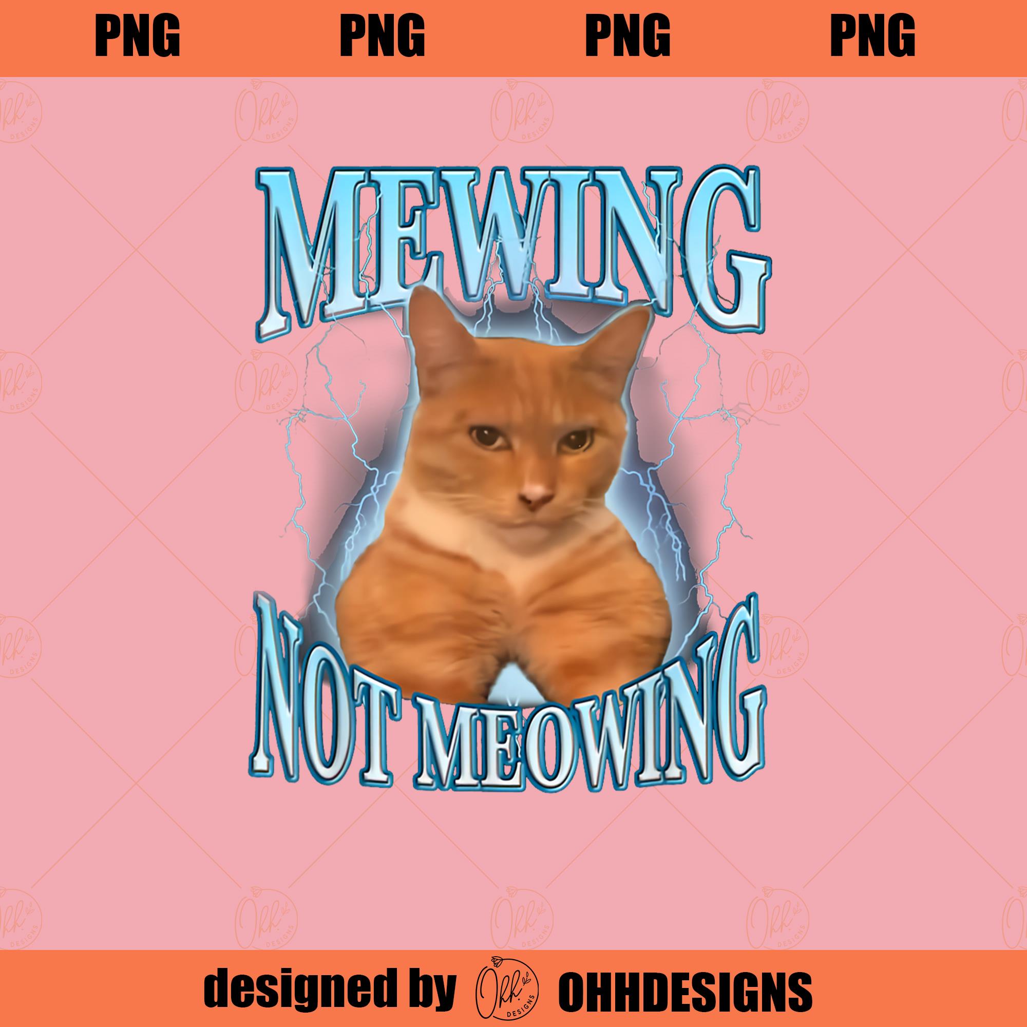 Cat Meme with Meowing Looks Max Meowing Cat Funny PNG Downlo | Inspire ...