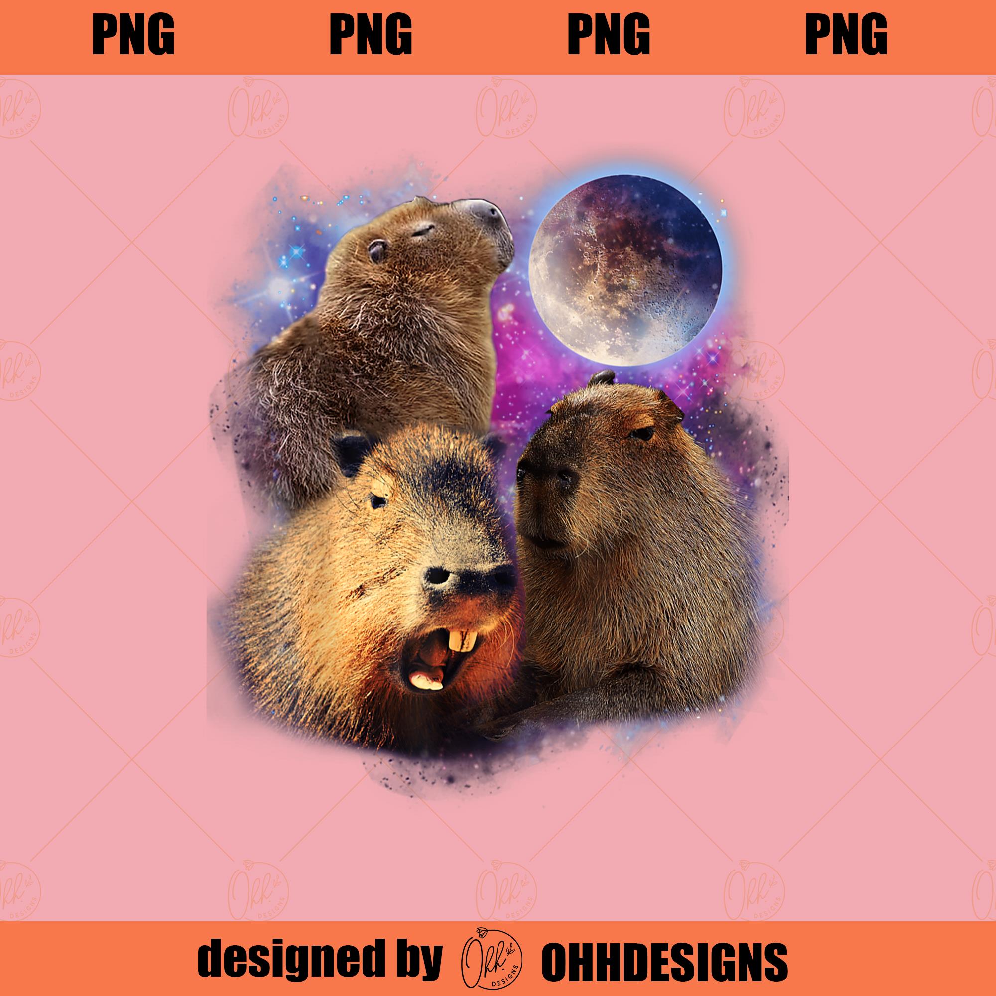 3 Capybara Moon Capybara Stuffed Animal For Men Women Kids P - Inspire ...