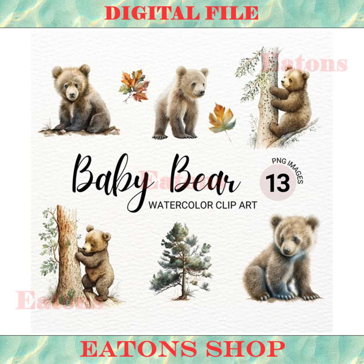 Baby Bear Watercolor Clipart PNG | Inspire Uplift