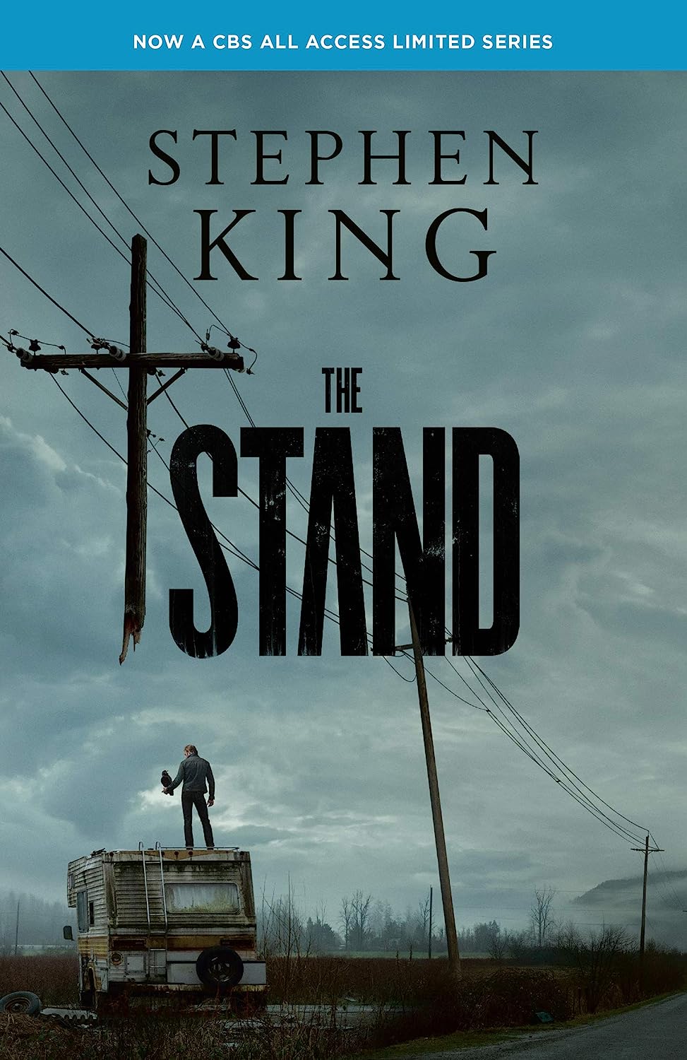 The Stand Book By Stephen King, The Stand Stephen King Book, | Inspire ...