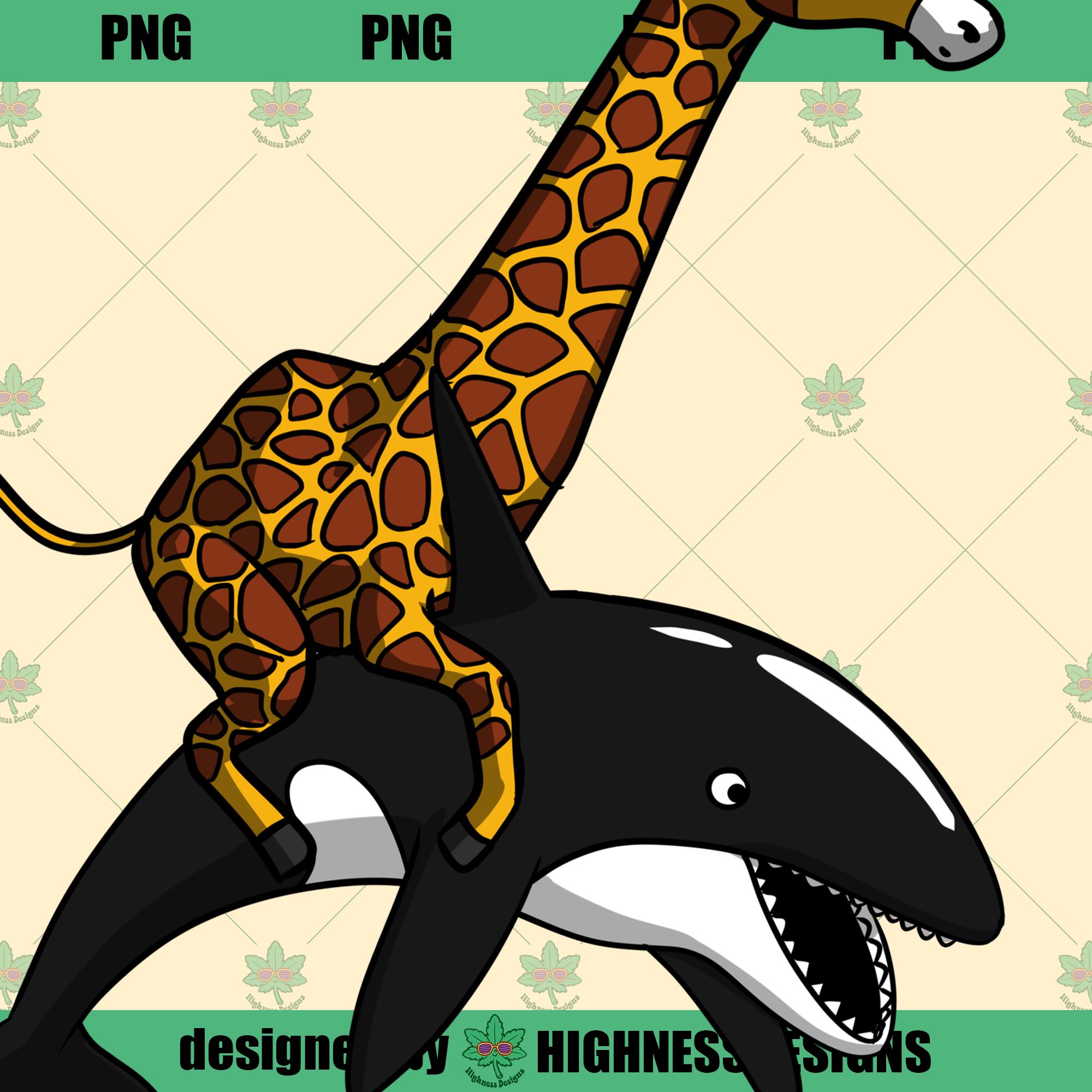 Giraffe Riding Orca Killer Whale Funny PNG Download | Inspire Uplift