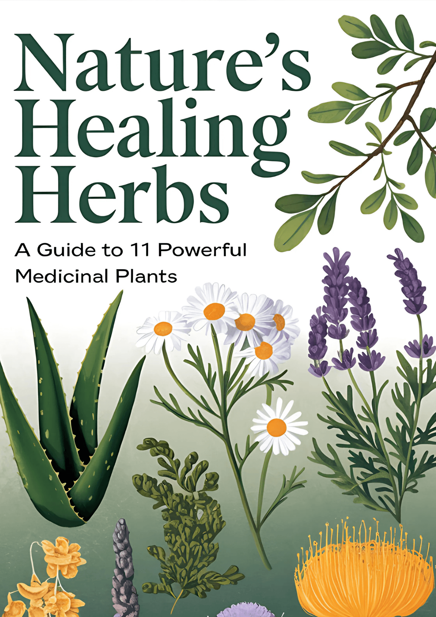 Natures Healing Herbs Book | Inspire Uplift