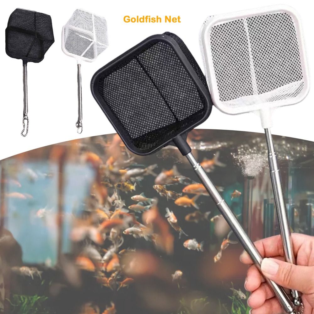 Long Handle Telescopic Goldfish & Shrimp Net | Inspire Uplift