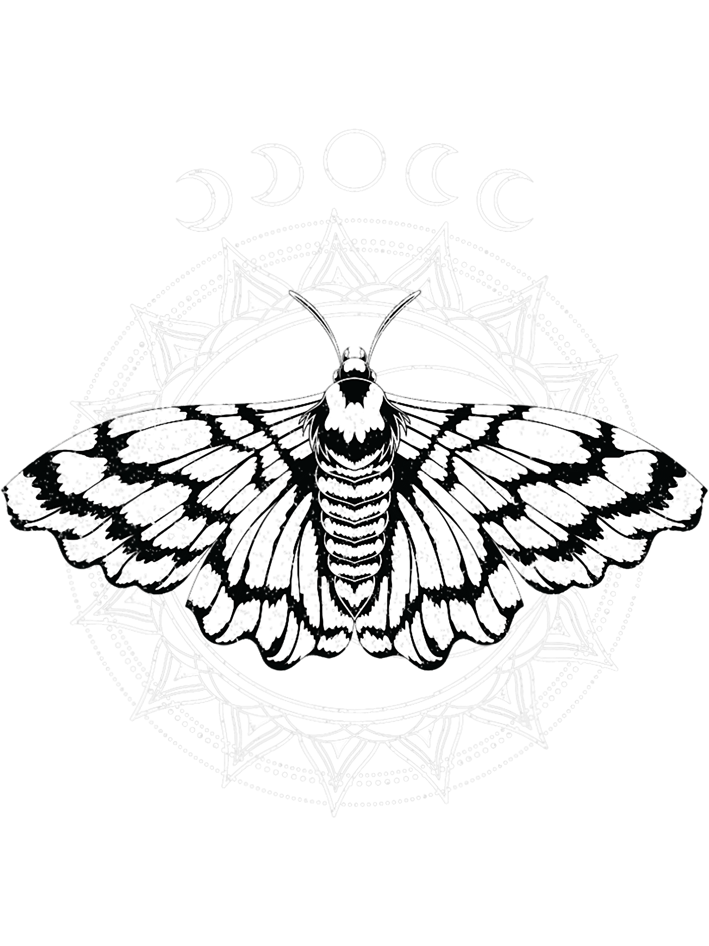 Dark Magic Moon Phases Insect Wicca Gothic Pagan Occult Moth | Inspire ...