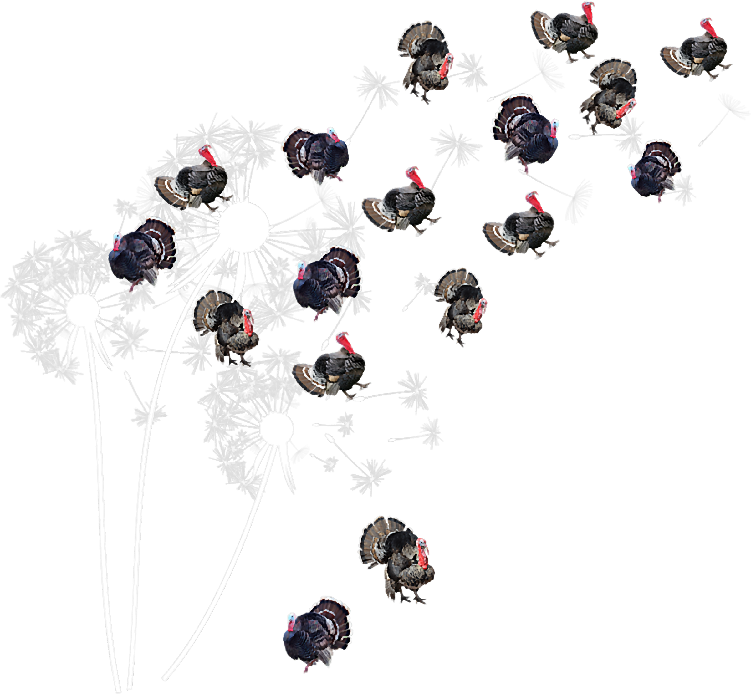 Funny Dandelion Turkeys Cute Turkeys Collection Lover | Inspire Uplift