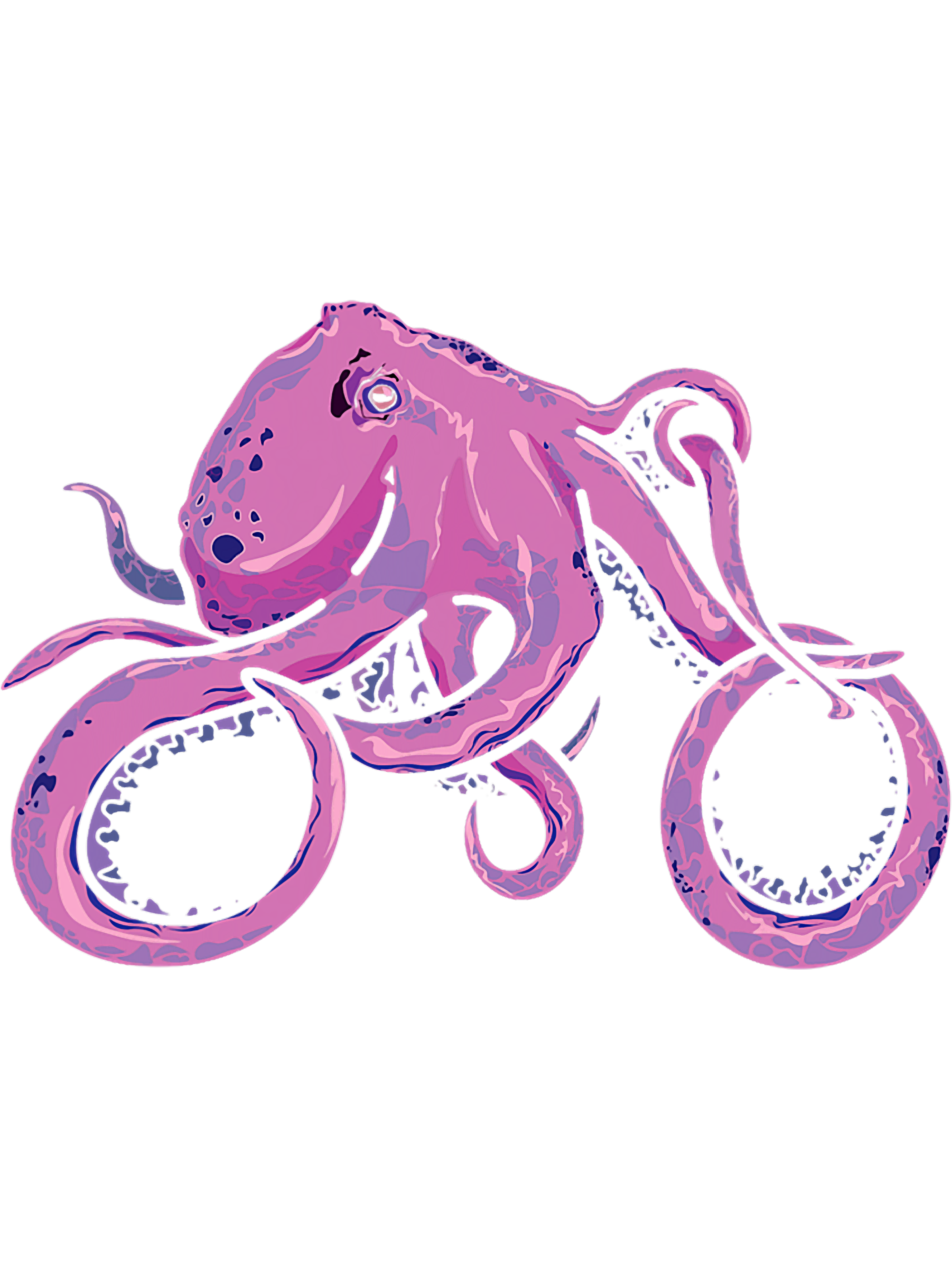 Octopus Lover Kraken Bike Octopus Biker Cyclist Sea Creature | Inspire ...