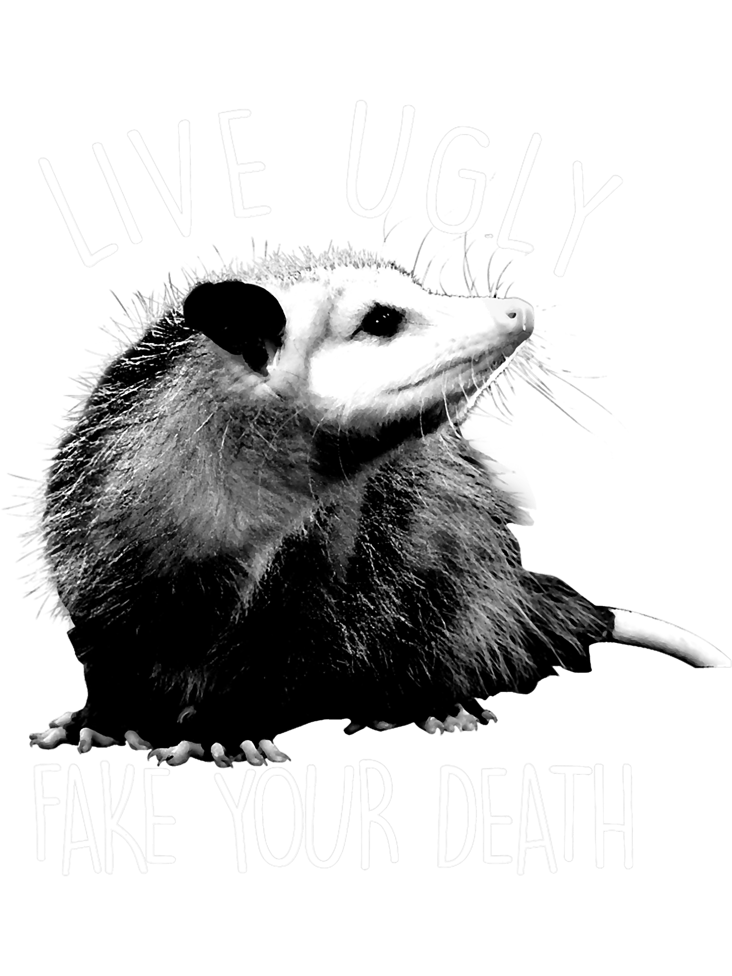 Possum Life Live Ugly Fake Your Death Eat Trash Cute Opossum | Inspire ...