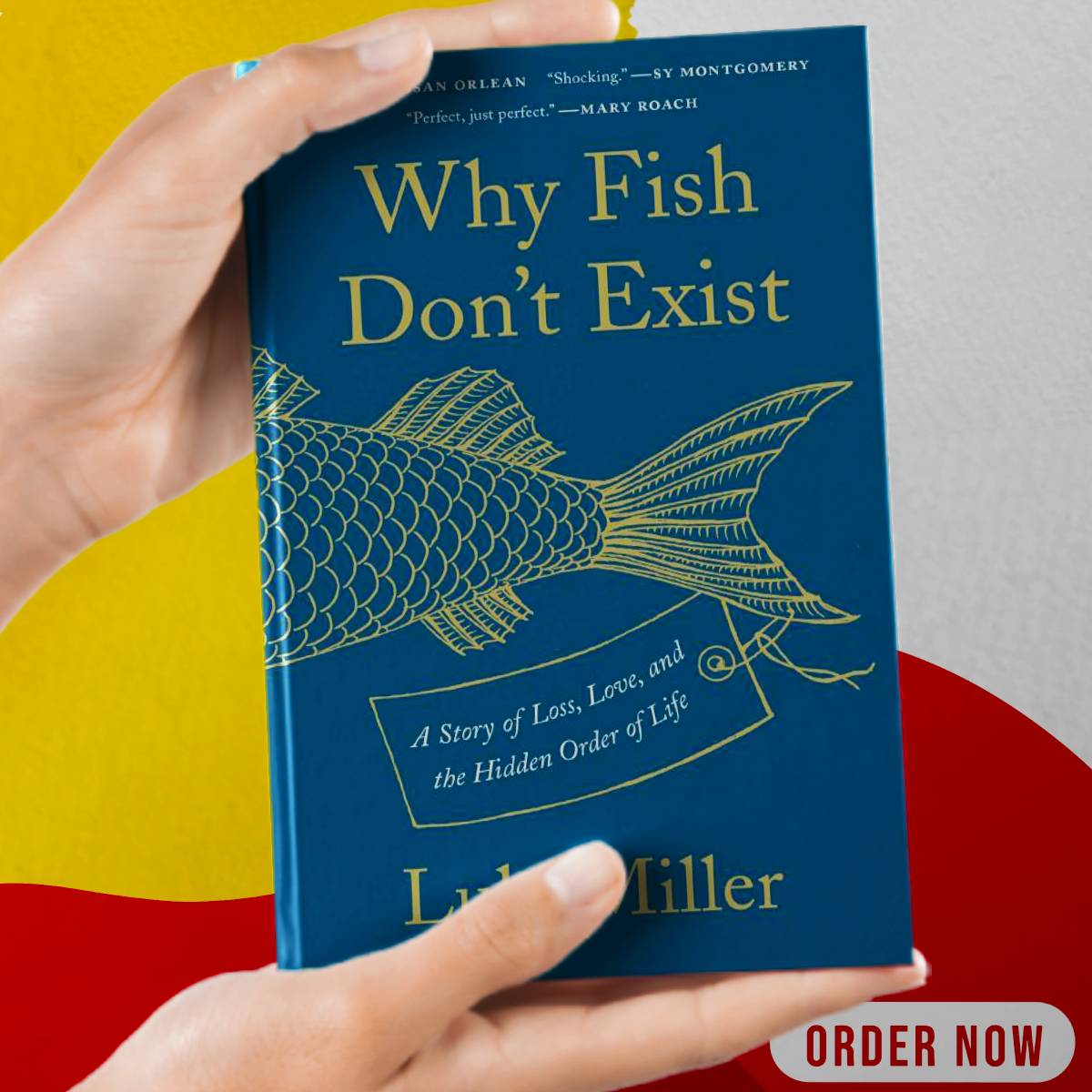 E-bookWhy Fish Dont Exist A Story of Loss Love and the Hidde | Inspire ...
