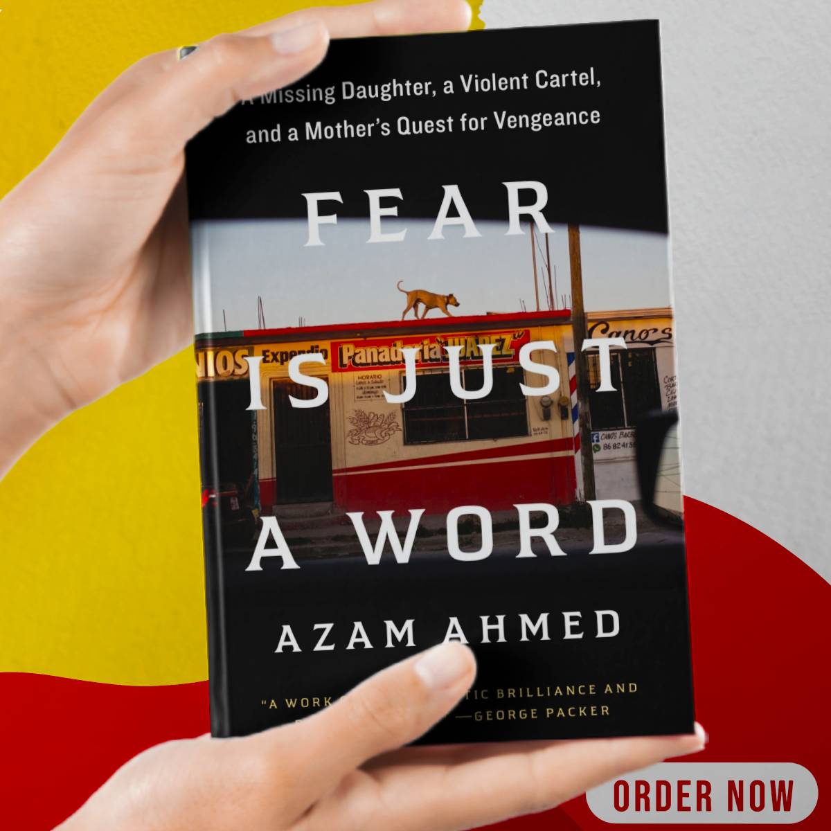 Ebook-Fear Is Just a Word Azam Ahmed | Inspire Uplift
