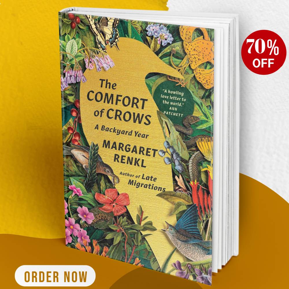 The Comfort of Crows- A Backyard | Inspire Uplift