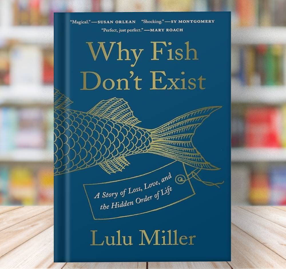 Why Fish Dont Exist A Story of Loss Love and the Hidden Orde | Inspire ...