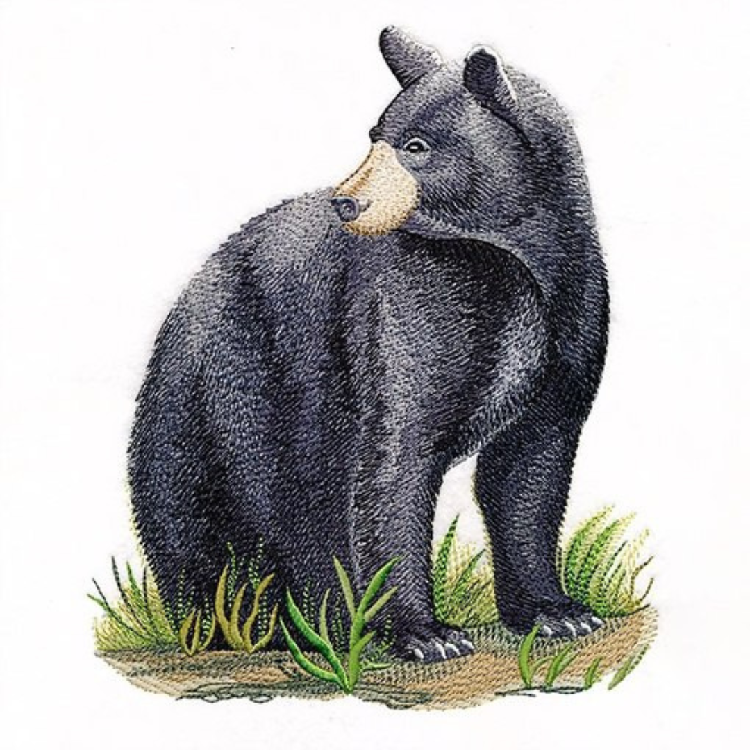 Black bear : Embroidery Design, Haddonfield EST Embroidery D | Inspire ...