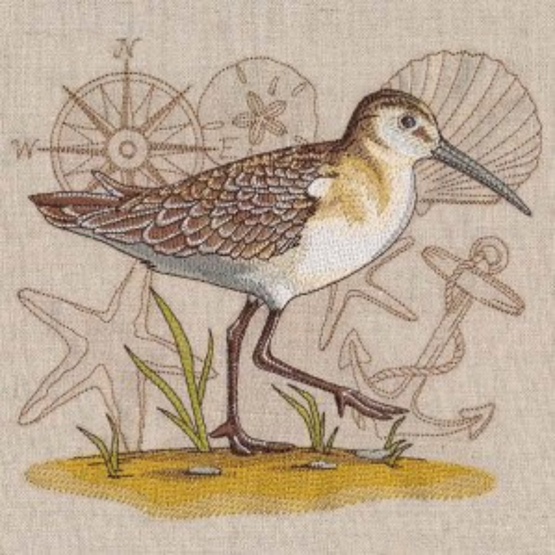 Seaside Sandpiper Medley Embroidery Design , Anime Embroider | Inspire ...