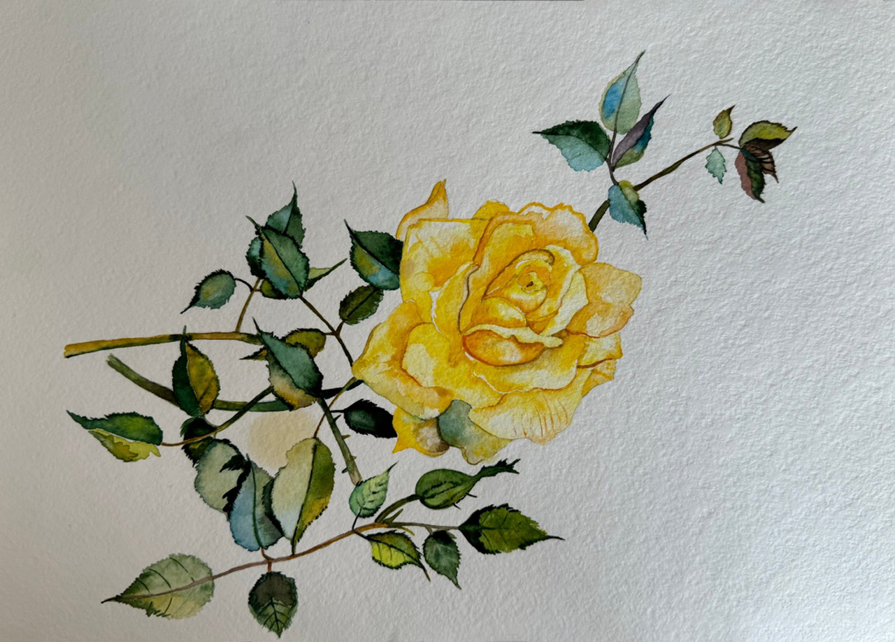 Watercolor painting of roses. Yellow rose | Inspire Uplift