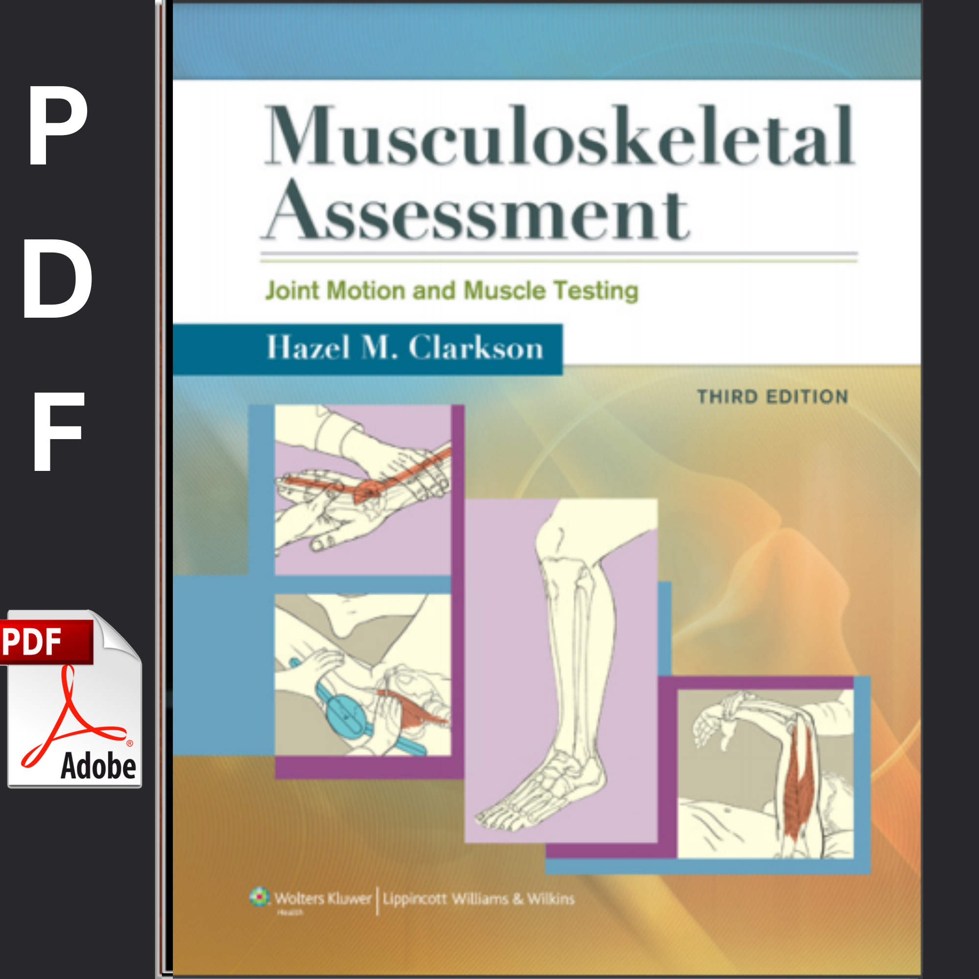Musculoskeletal Assessment - Joint Motion and Muscle Testing | Inspire ...