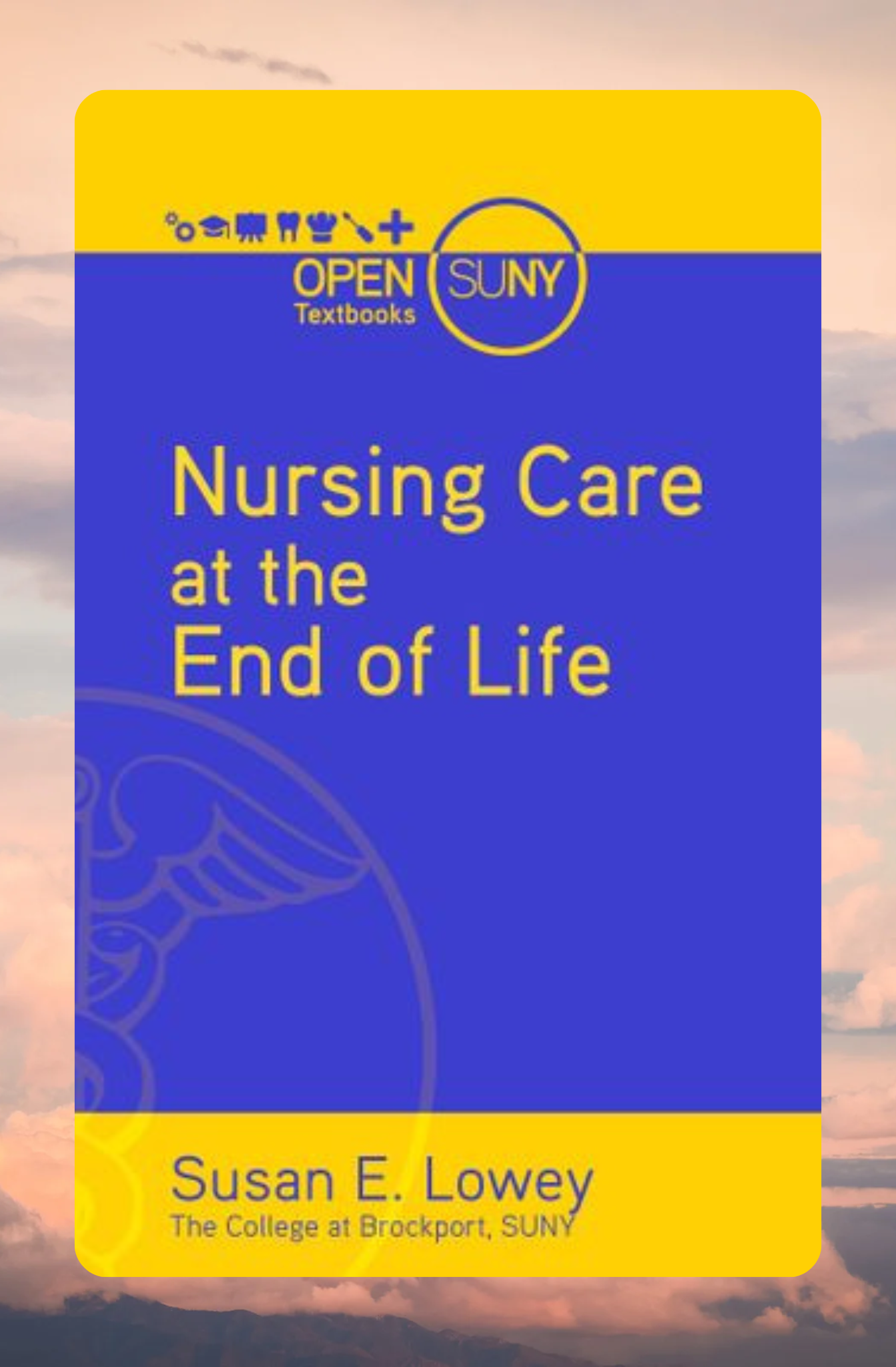 Nursing Care at the End of Life By Susan E. Lowey | Inspire Uplift