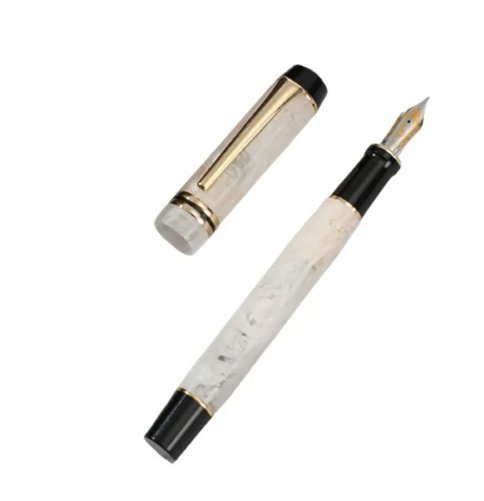Disposable Fountain Pens, Ink Fine Point Pens Smooth Writing - Inspire ...