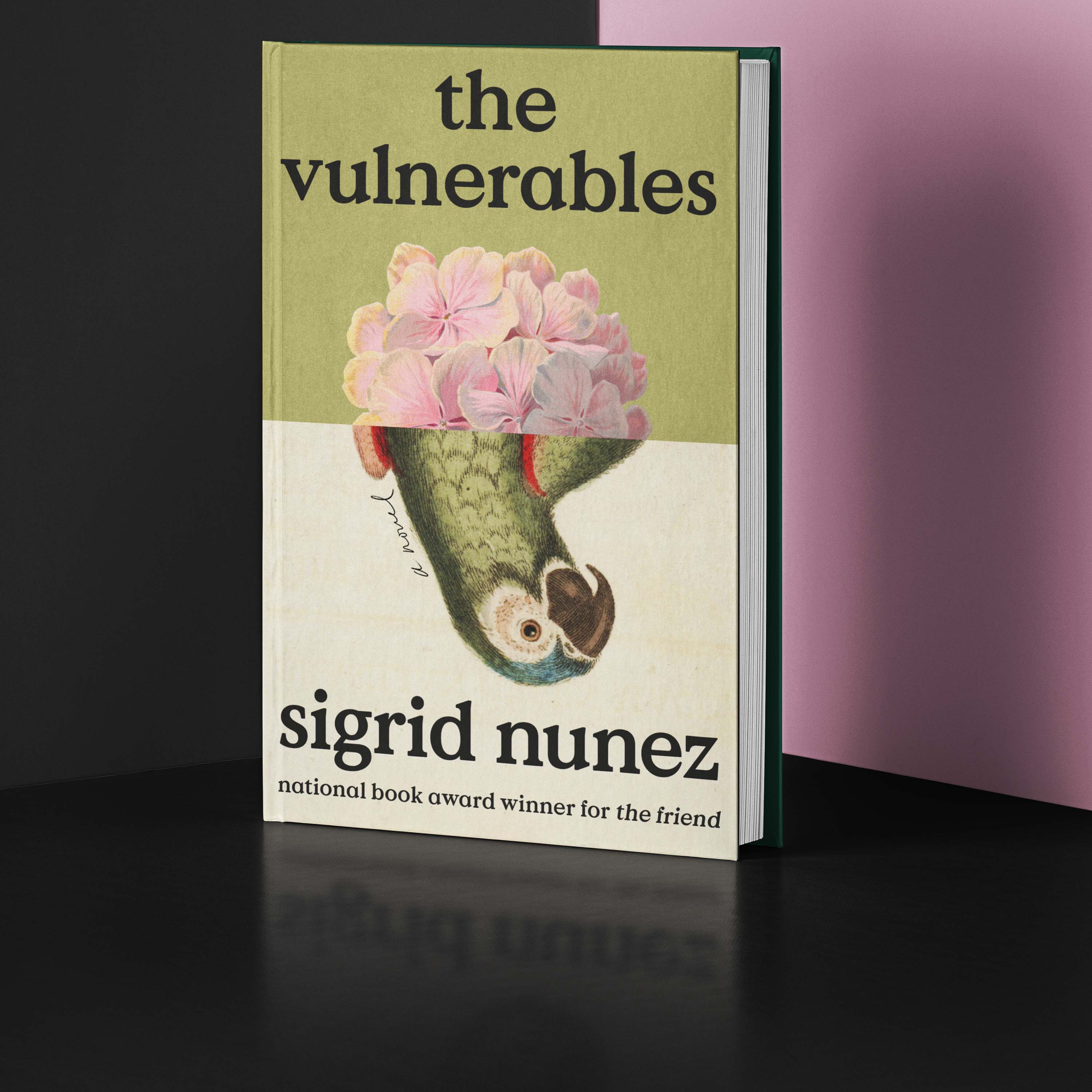 The Vulnerables by Sigrid Nunez | Inspire Uplift