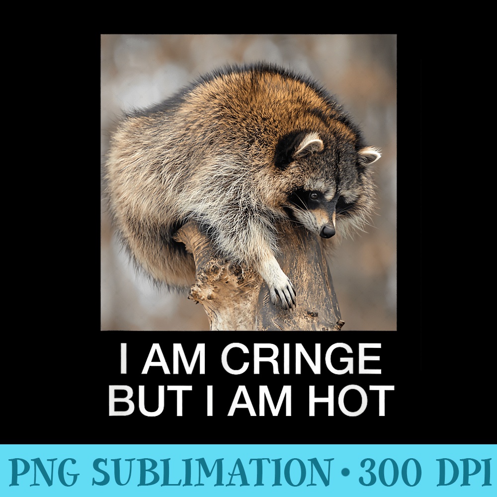 meme raccoon joke surreal funny animal cringe goth graphic - | Inspire ...