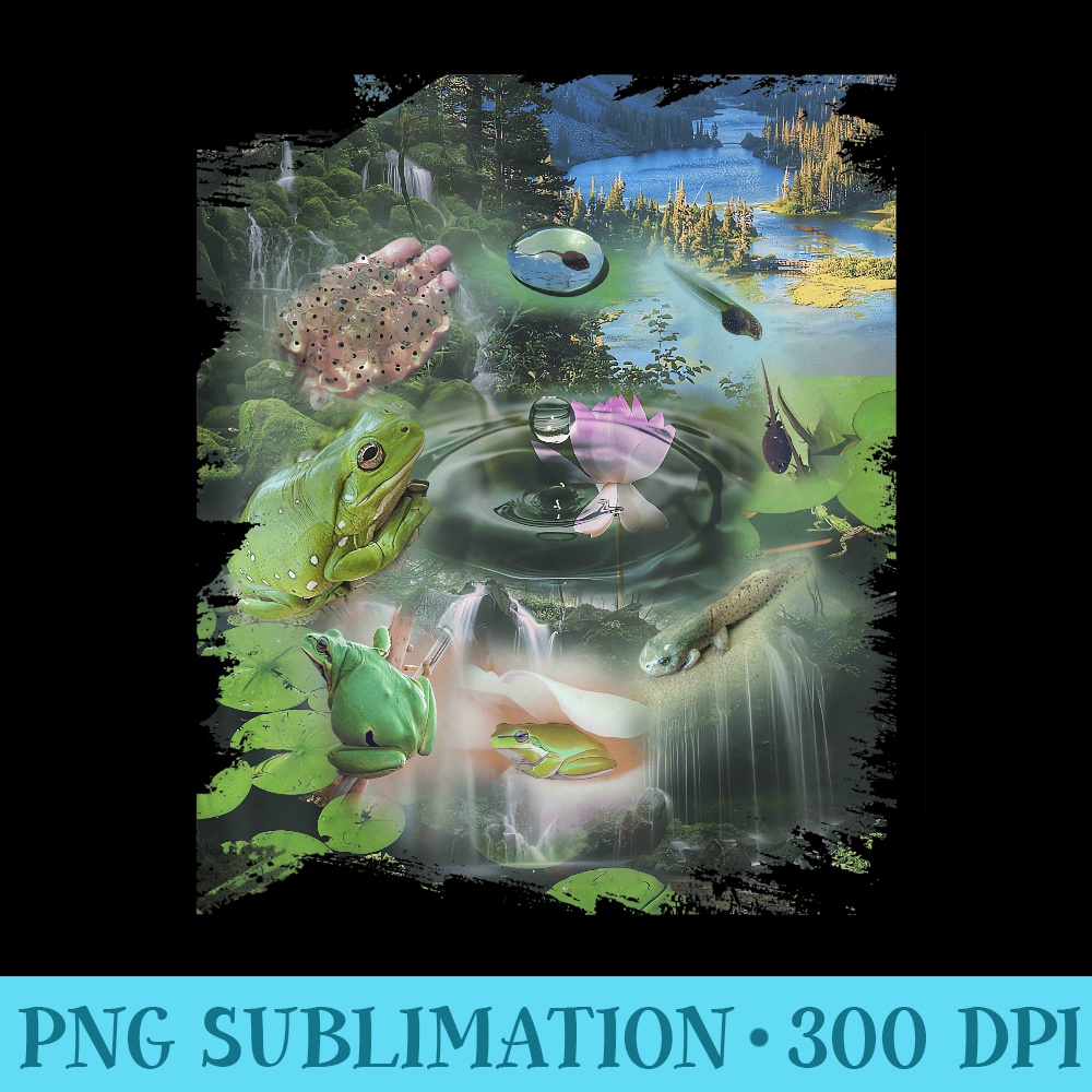 Frog Tadpole Life Cycle Tadpoles Froglet Frogs Green Forest | Inspire ...