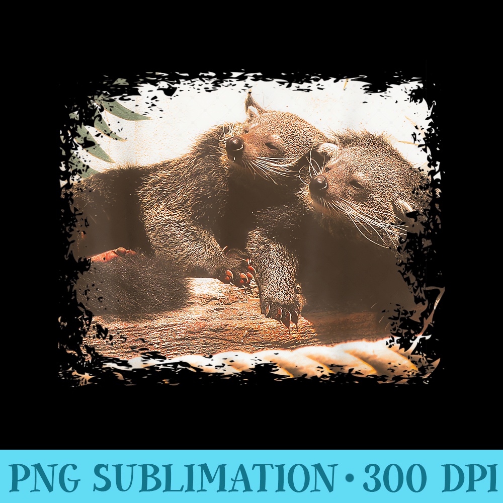 Cute Binturong - PNG File Download - Inspire Uplift