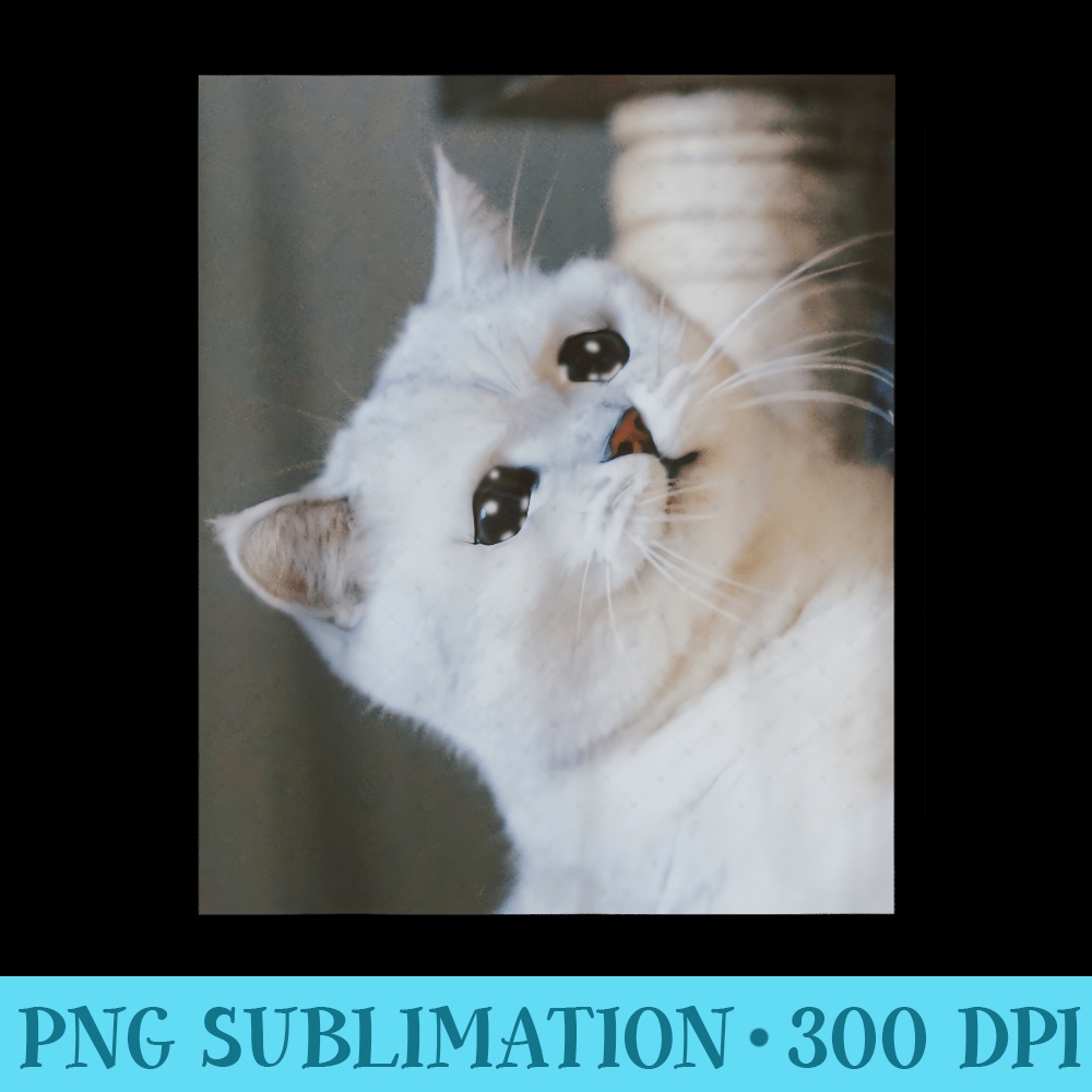 Sad Cat Crying Cat Cute Meme - Shirt Design PNG | Inspire Uplift
