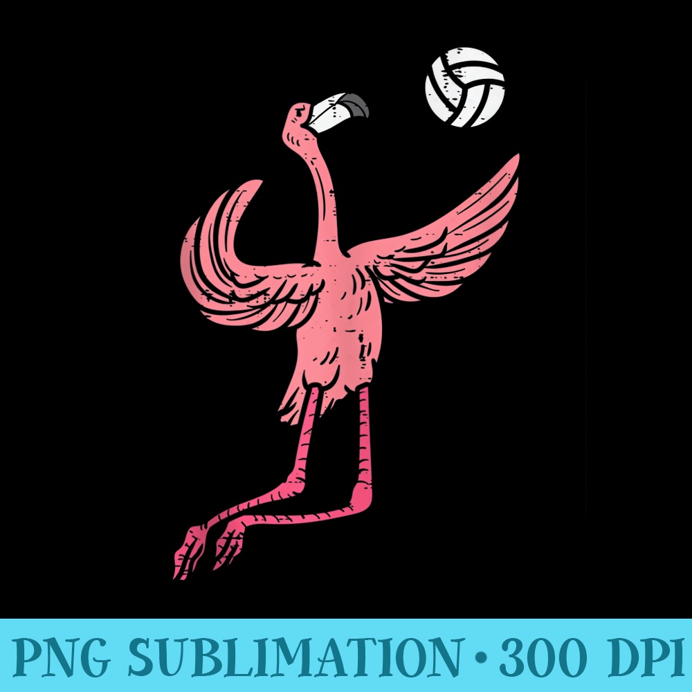 Flamingo Volleyball Spike Serve Player Spiker Men - Transpar | Inspire ...