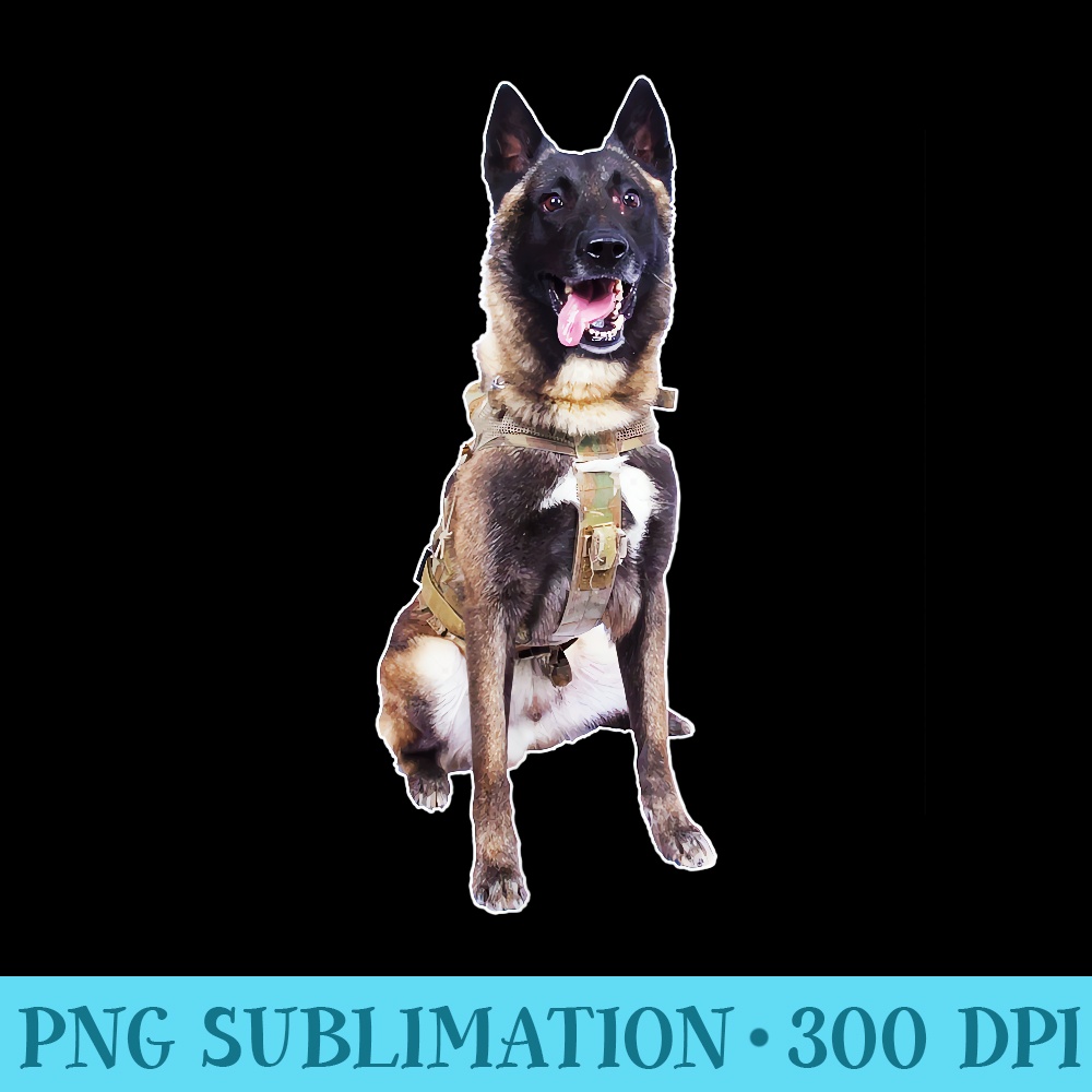 Conan the American Hero Dog Military Support K9 - PNG Pictur | Inspire ...