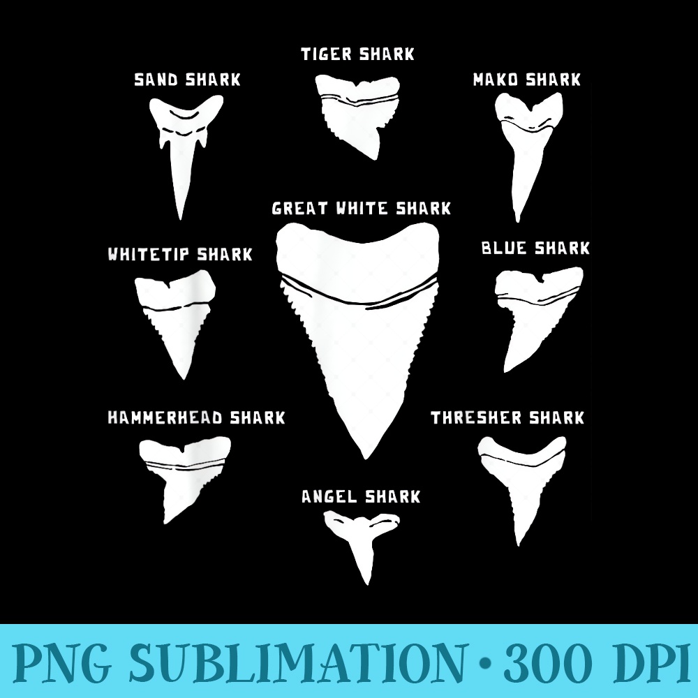 9 Types of Shark th I Species Of Sharks - Transparent PNG Do | Inspire ...