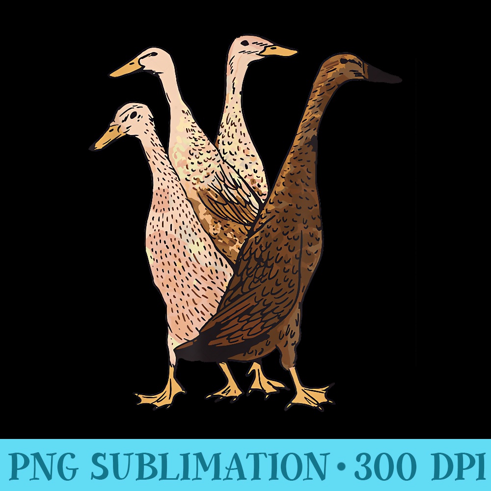 Running Duck Indian Runner duck - Shirt Clipart Free PNG | Inspire Uplift