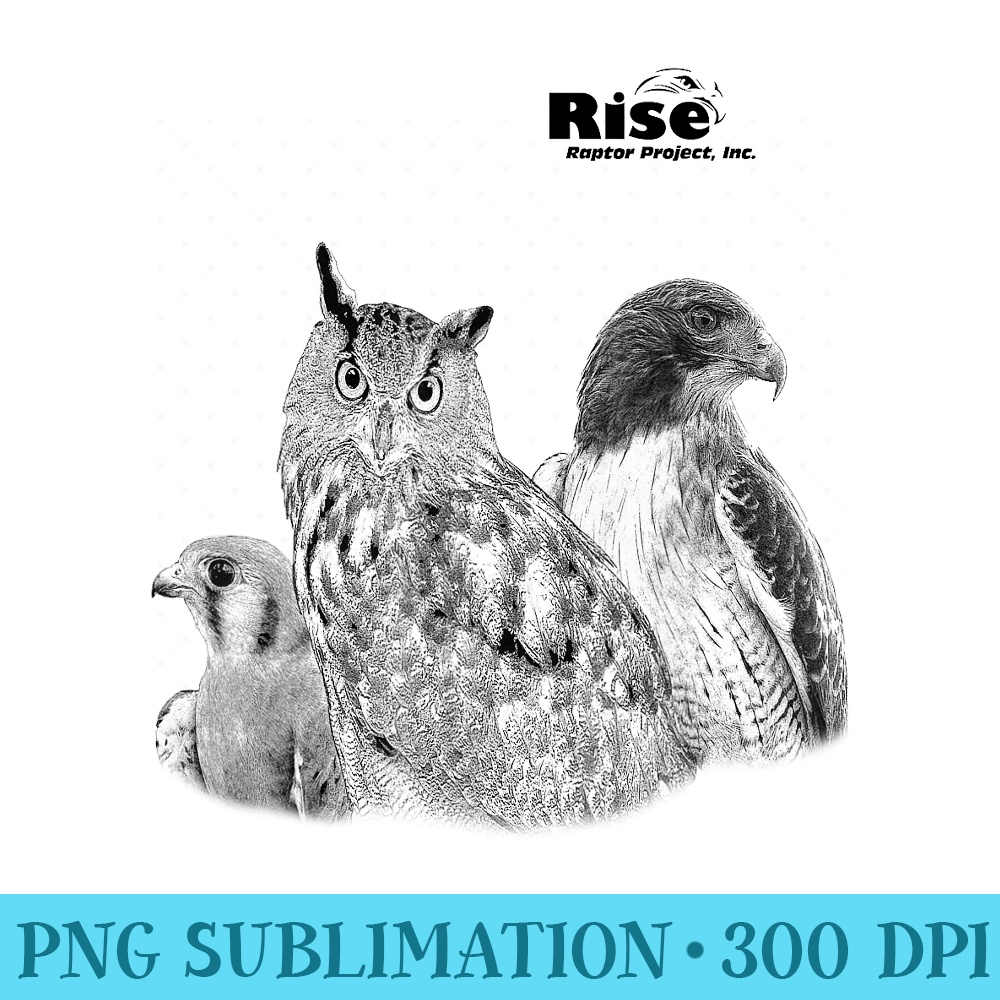 Rise Raptor Project Owl, Red Tailed Hawk, American Kestrel - | Inspire ...