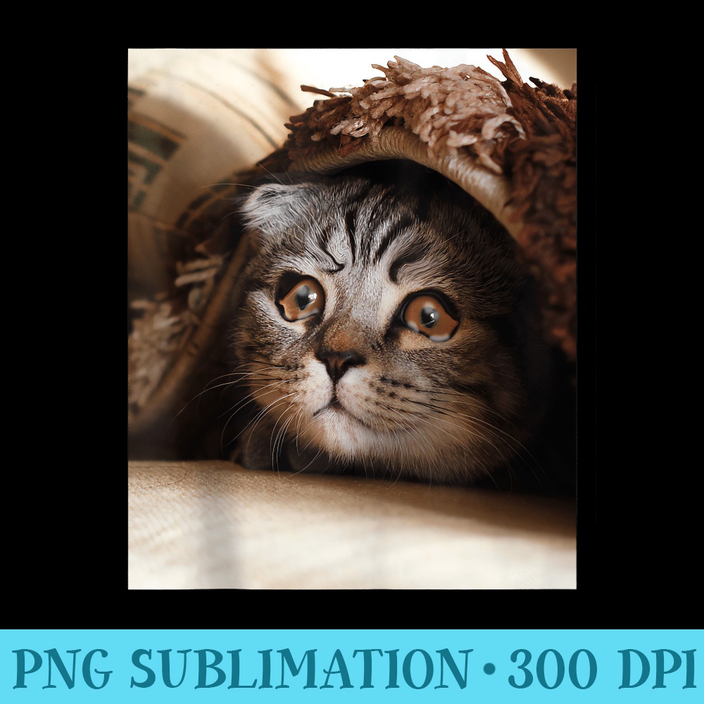 Sad Cat Crying Cat Cute Meme - High Resolution PNG Image | Inspire Uplift
