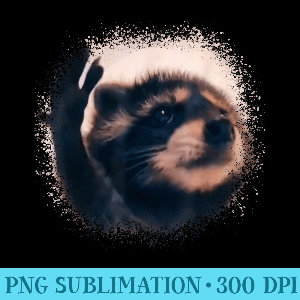Pedro Raccoon Dancing Meme - Download Transparent PNG | Inspire Uplift