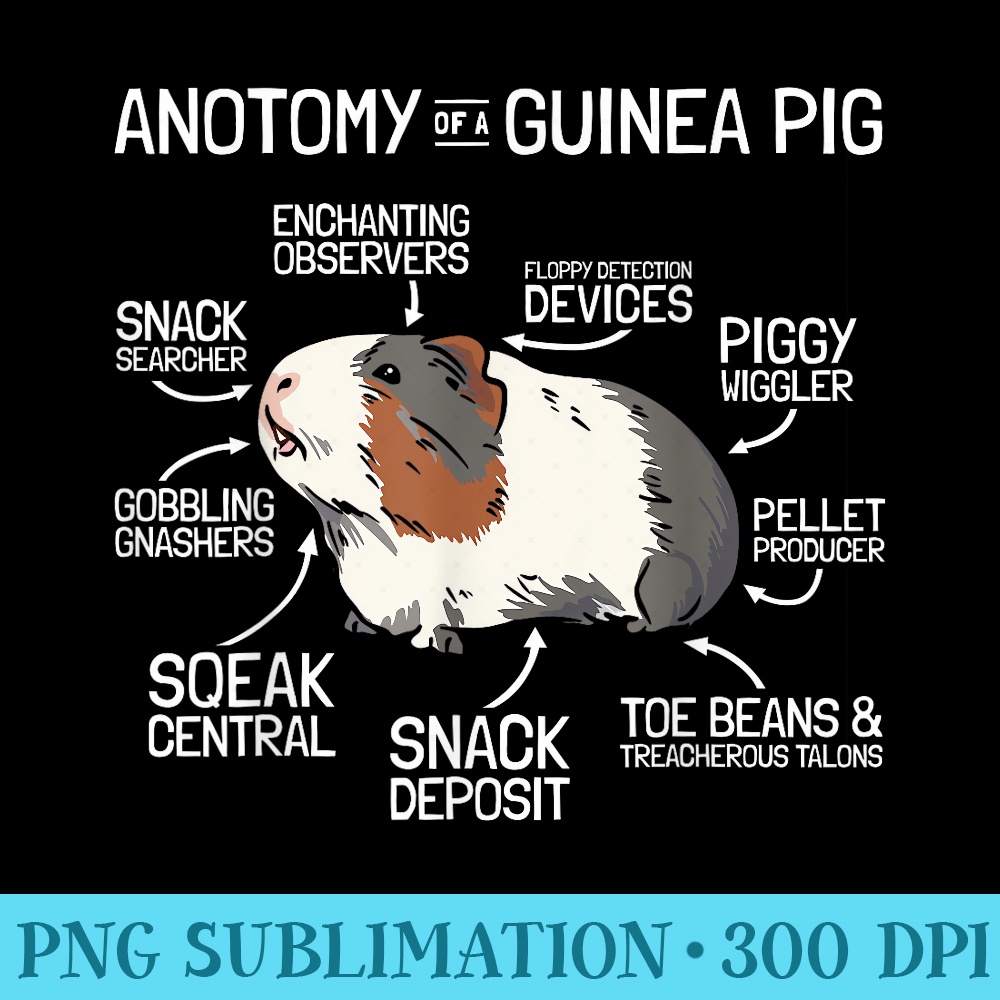 Anatomy Of A Guinea Pig - Download Transparent Shirt | Inspire Uplift