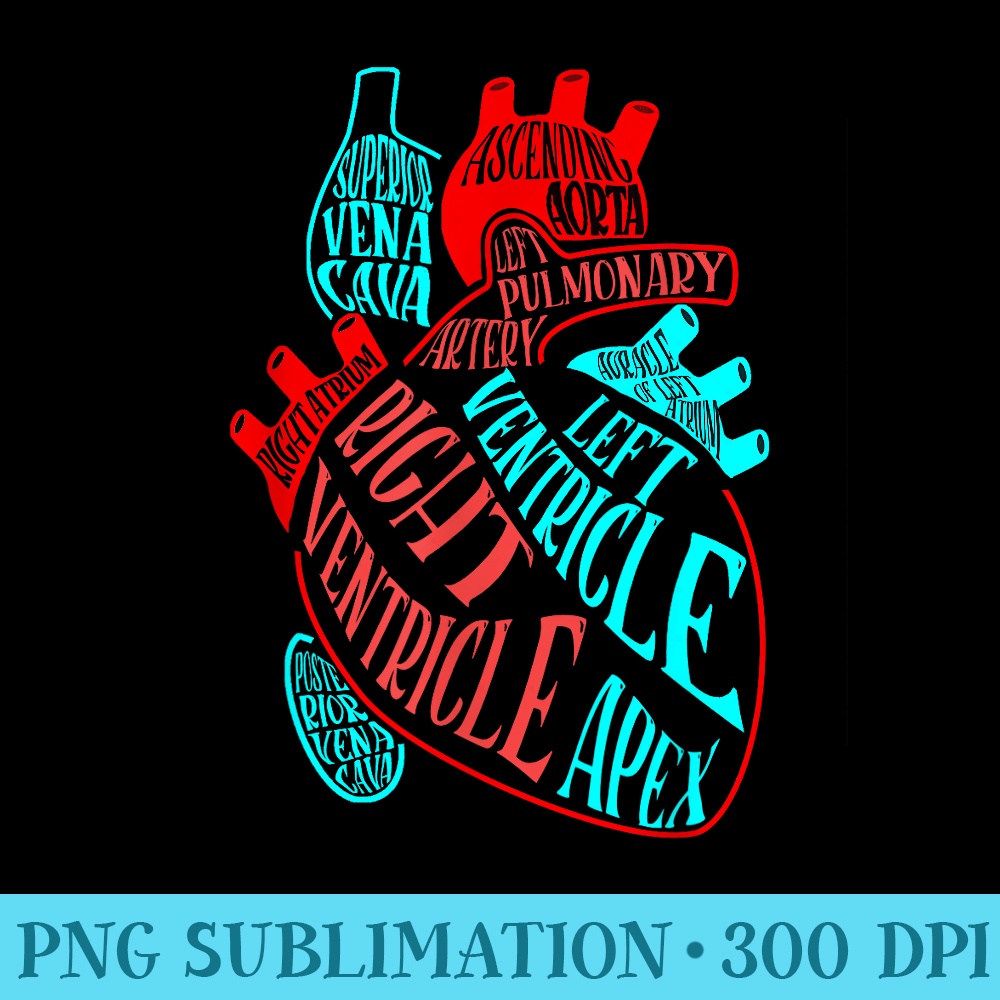 Anatomy Heart Aorta Doctor Nurse Cardiologist Cardiology - T - Inspire ...