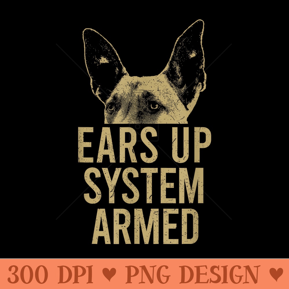 Belgian Malinois Ears Up System Armed Maligator Mom Dad - Hi | Inspire ...